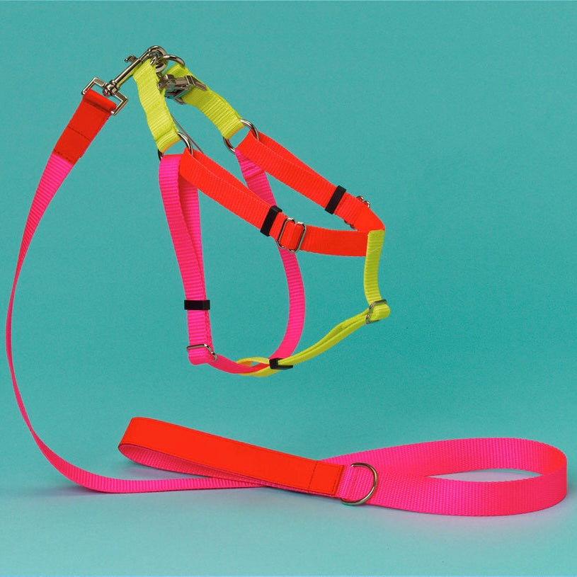 NEON COLORBLOCK HARNESS - PINK & ORANGE & YELLOW – A.en Official